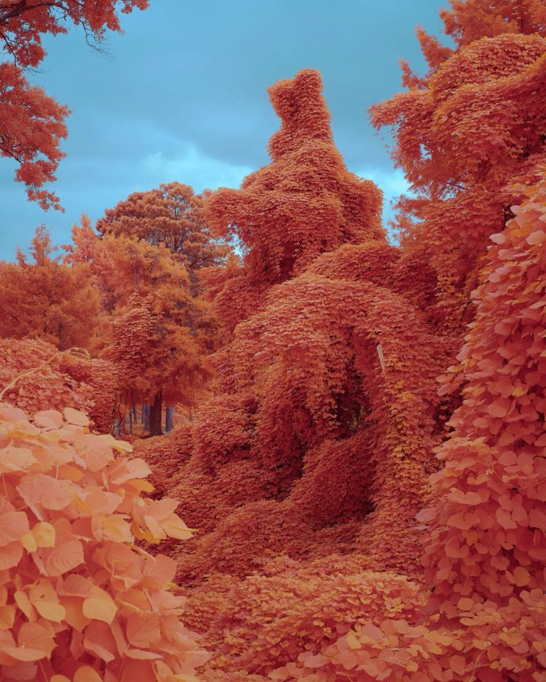 Kudzu Engulfs Everything in Its Path in Zac Henderson’s ‘Palimpsest ...